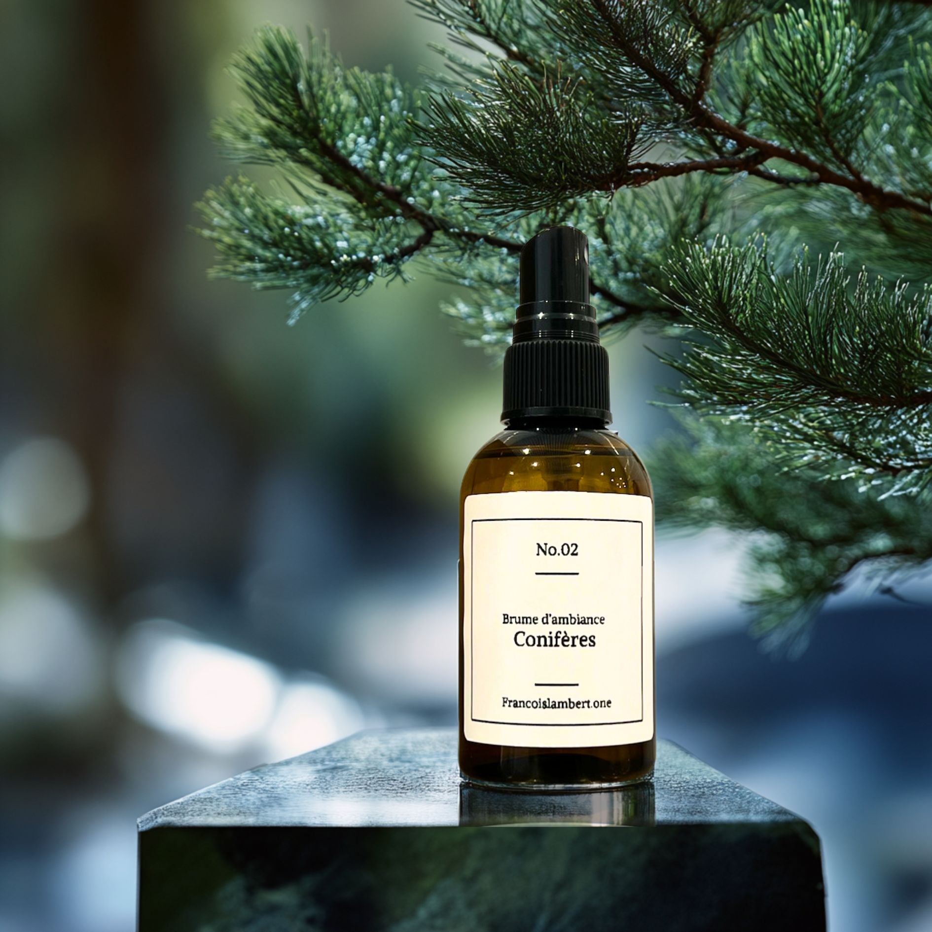 🌸🍁 Découvrez notre collection de parfums | Parfumerie Québec ...