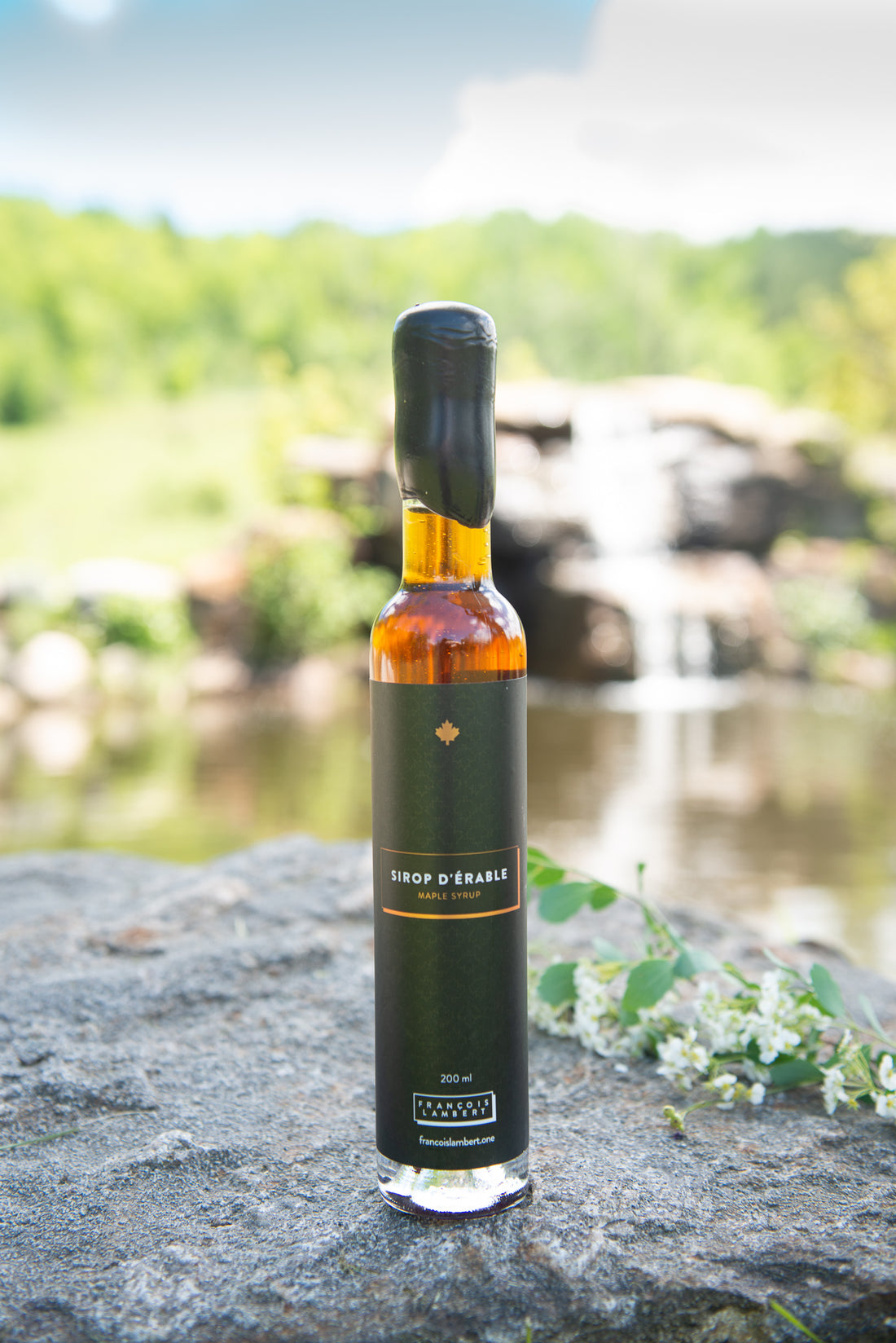 Open media 2 in modal